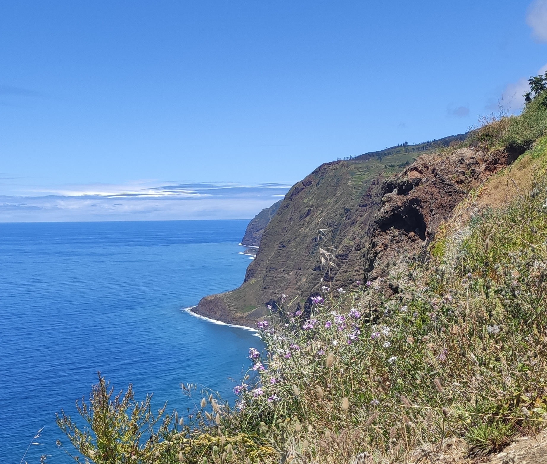 Azoren oder Madeira | Welche Insel ist besser? | Blog