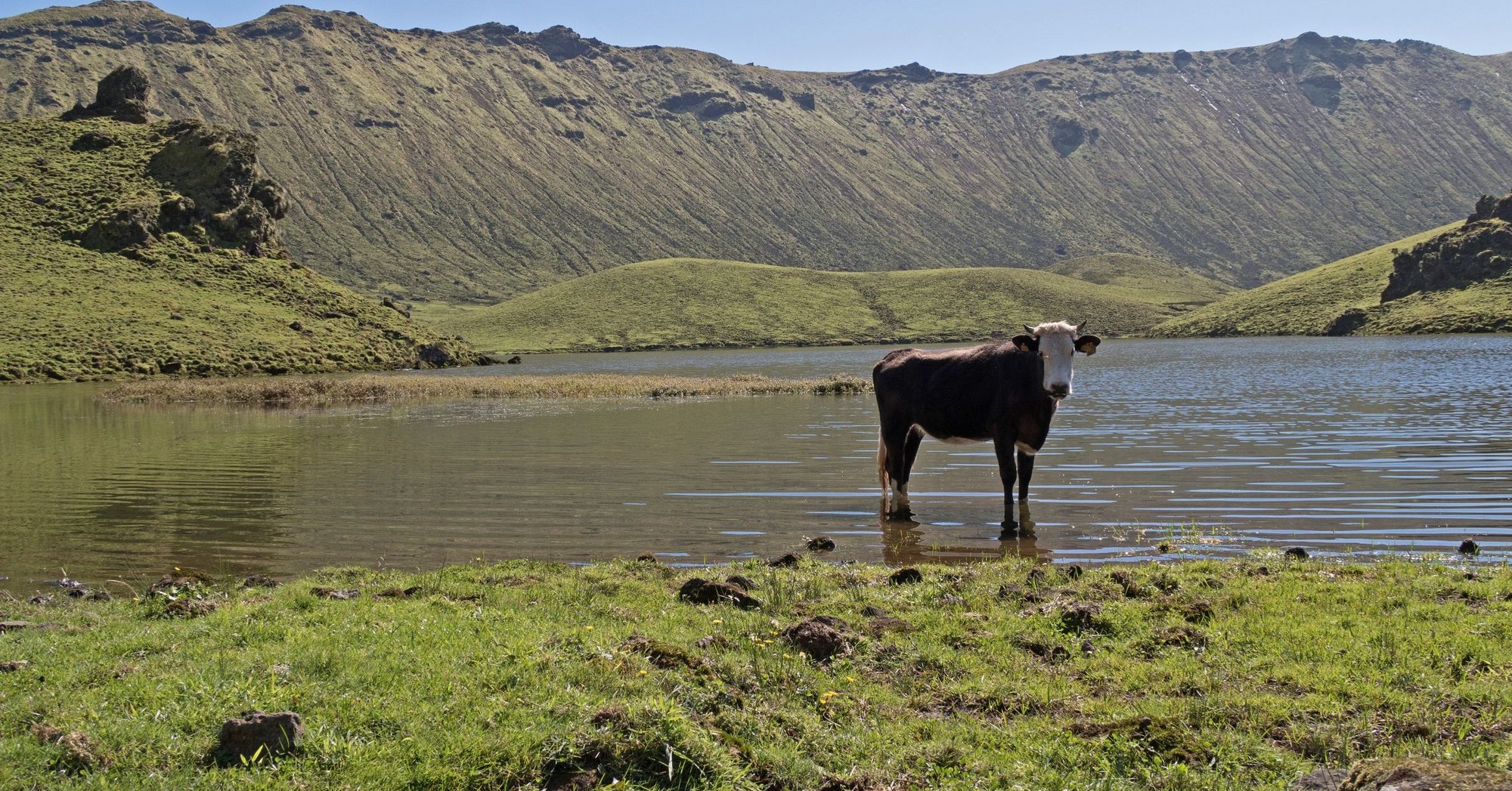 Was isst man auf den Azoren? | Reisen mit Sinnen-Blog