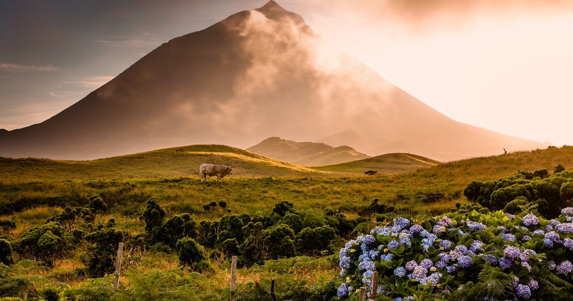 Wo ist es auf Pico am schönsten? - Die Highlights der Azoreninsel